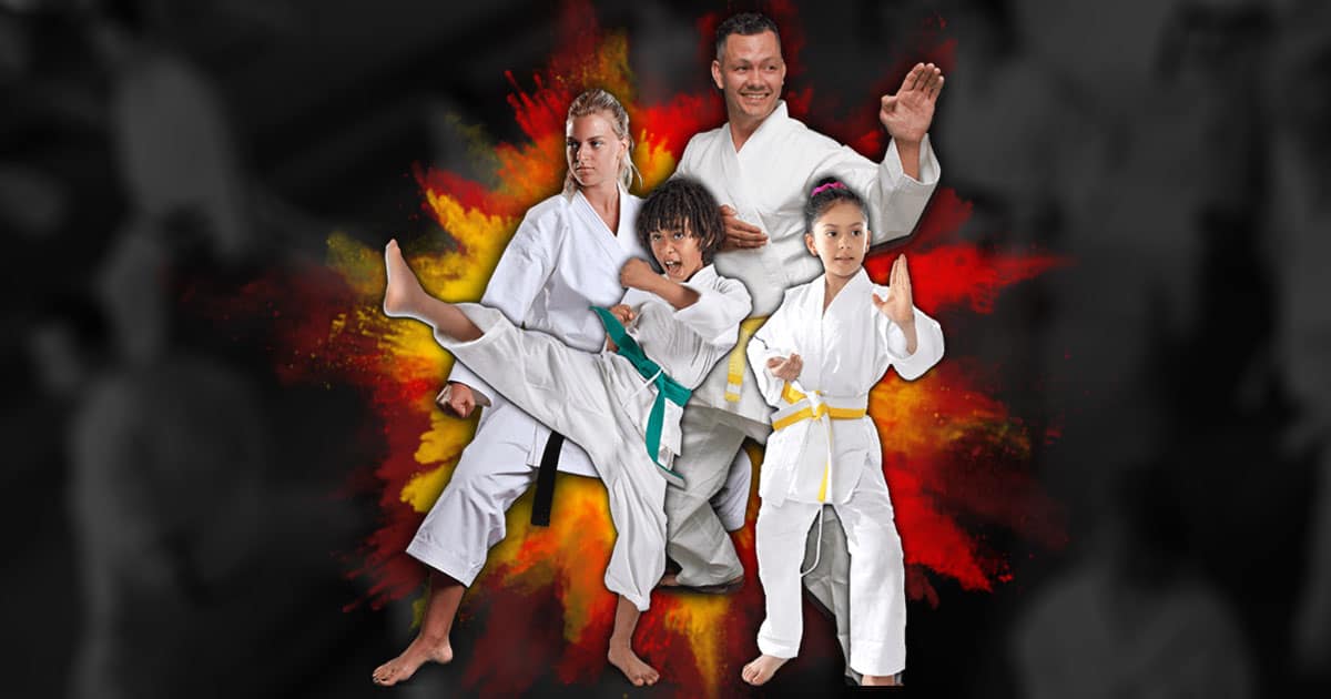 Martial Arts in Brookfield, : Future Martial Arts